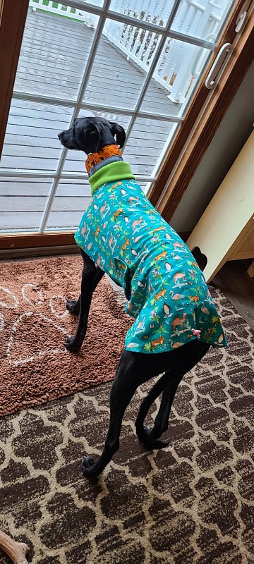 Jobin - Hondtime Clocks